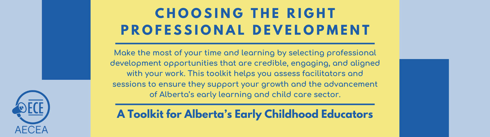Choosing the Right Professional Development Toolkit | AECEA